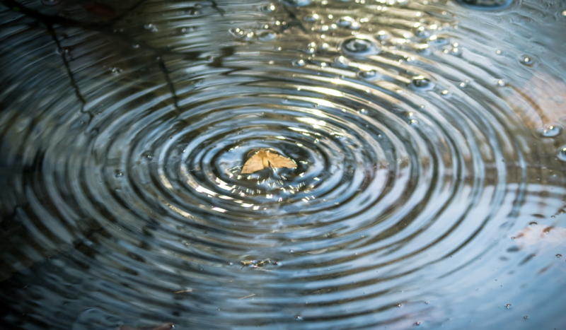 Choices: The Undeniable Tidal Wave of Consequences And How To Use Them ...