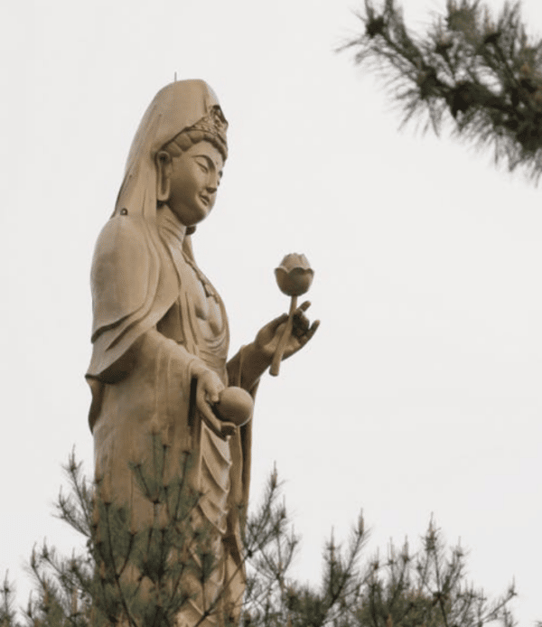 The Divine Feminine Superpower That Will Get You Into Union - Twin ...